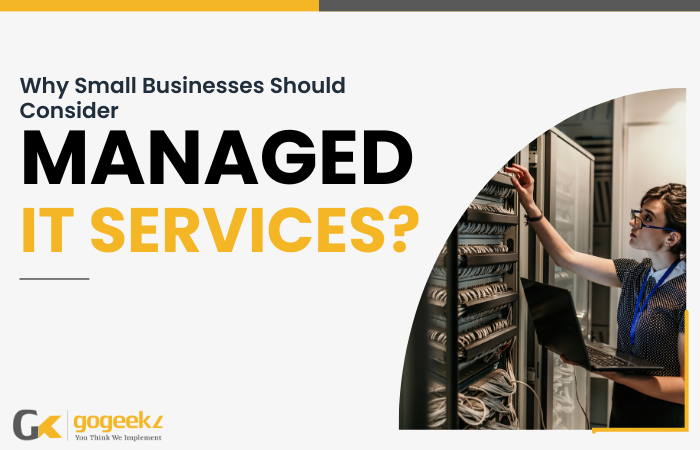 Managed IT Services to Transform Your Business | GoGeekz