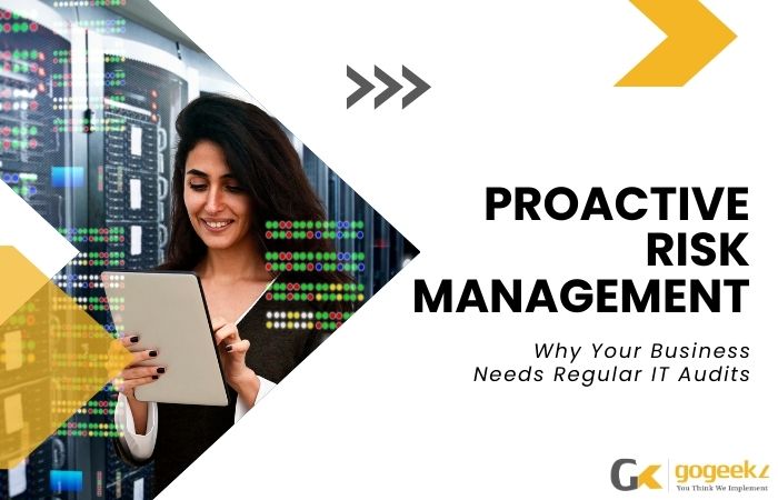 Comprehensive IT Audit & Risk Management Services for Business